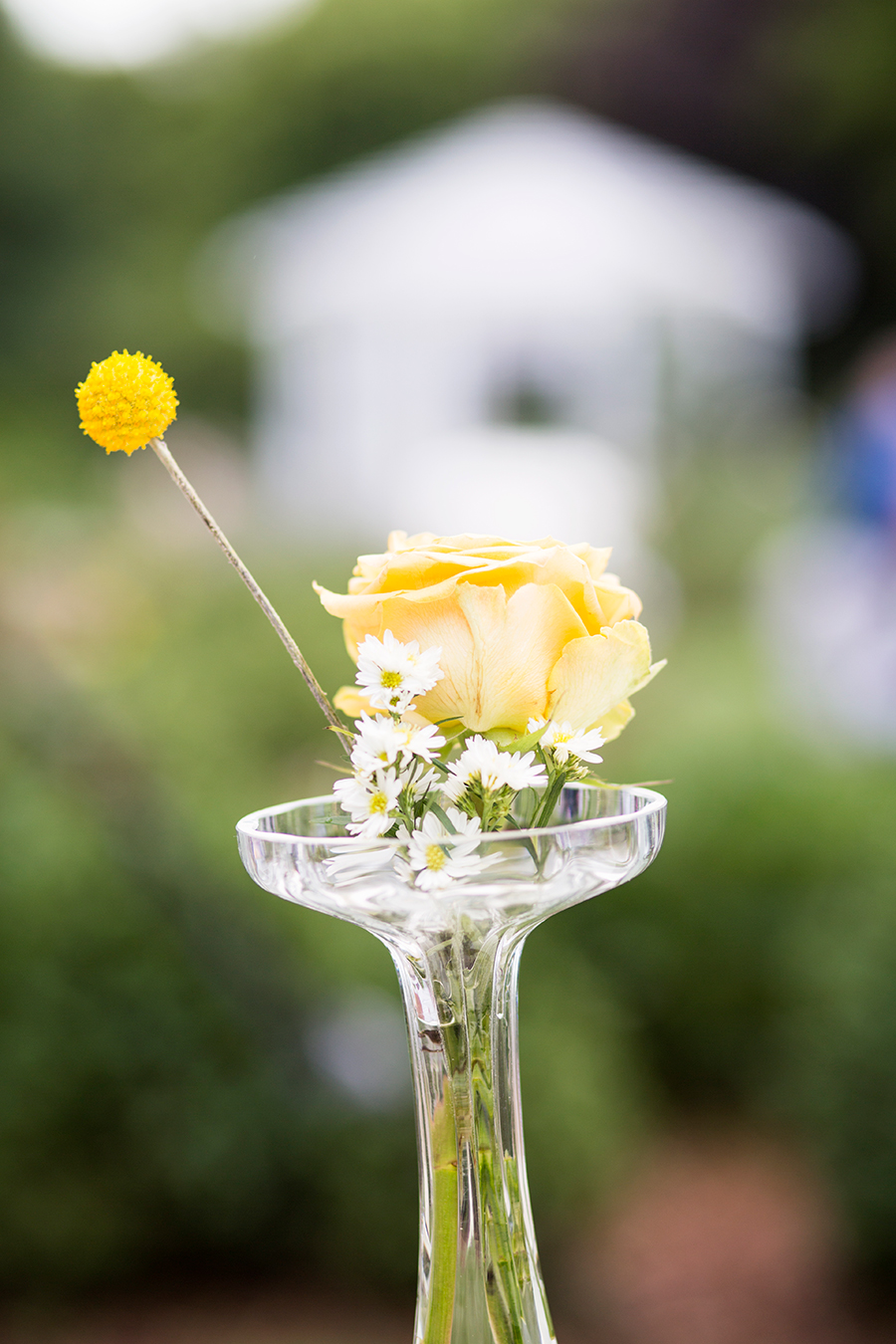 Erin + John's Wedding at Lewis Ginter Botanical Garden | Lewis Ginter ...